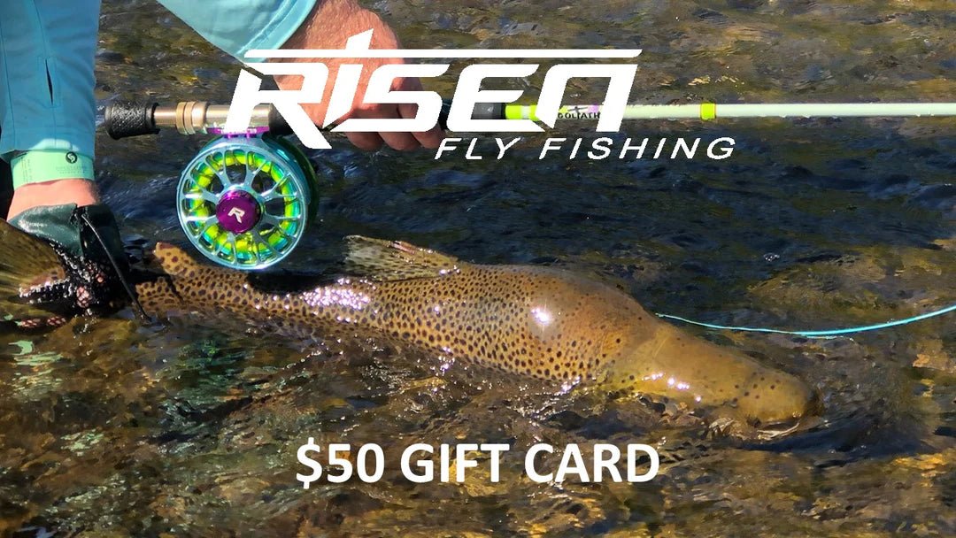 GIFT CARDS – Risen Fly