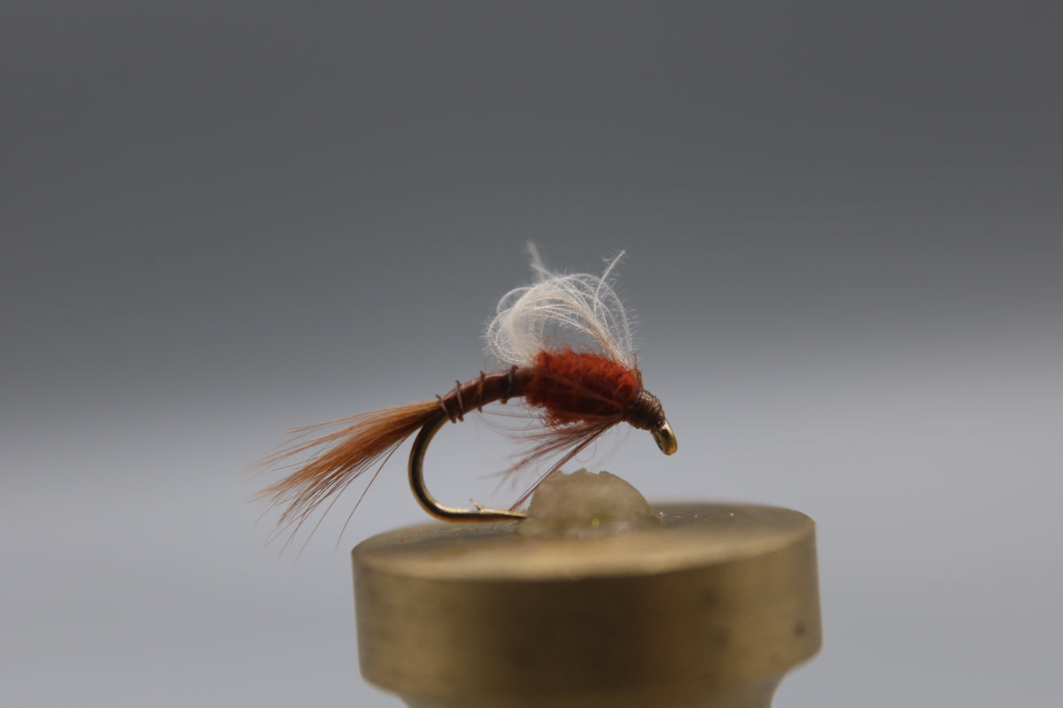 March Brown CDC Loop Wing Emerger Dry – Risen Fly