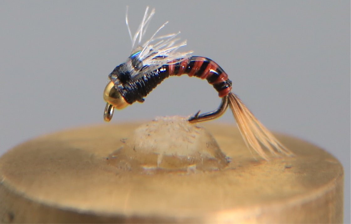 Bead Head Juju Baetis – Risen Fly