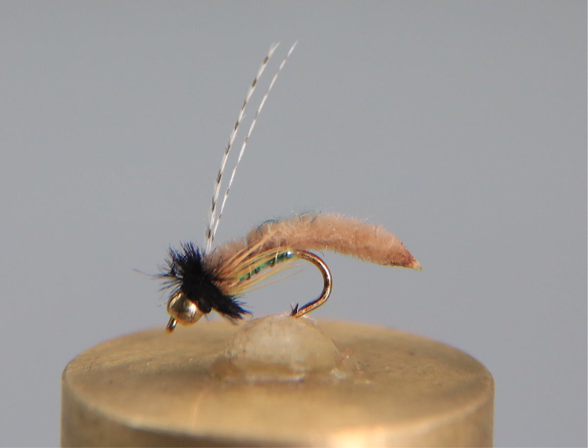 Bead Head Caddis Poopah – Risen Fly