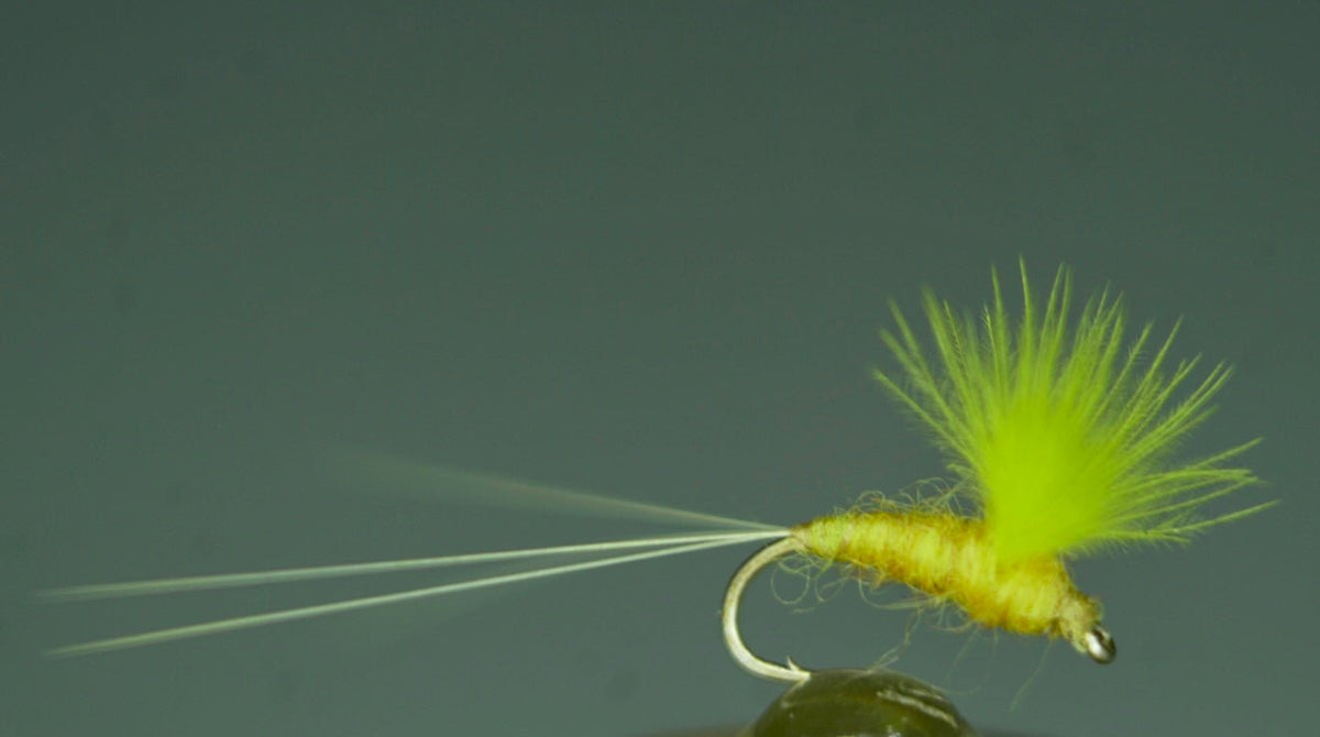 Sulphur CDC Comparadun Dry – Risen Fly