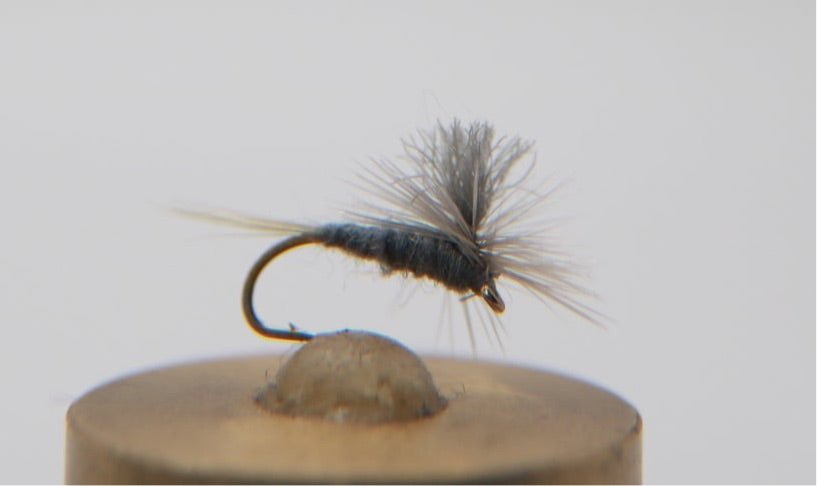 Hendrickson Dark Parachute Dry – Risen Fly