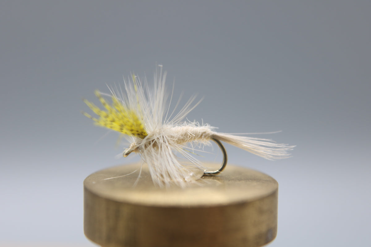 Hendrickson Light Dry – Risen Fly