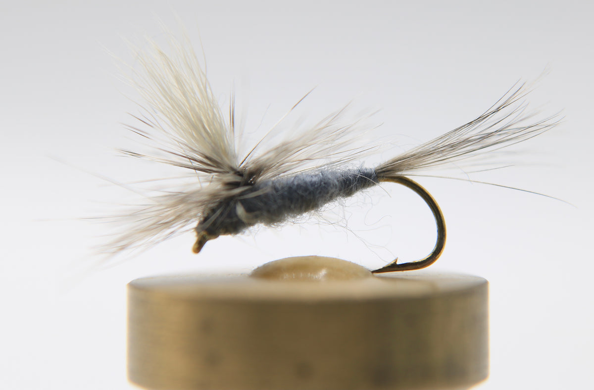 Gray Drake Parachute Dry – Risen Fly