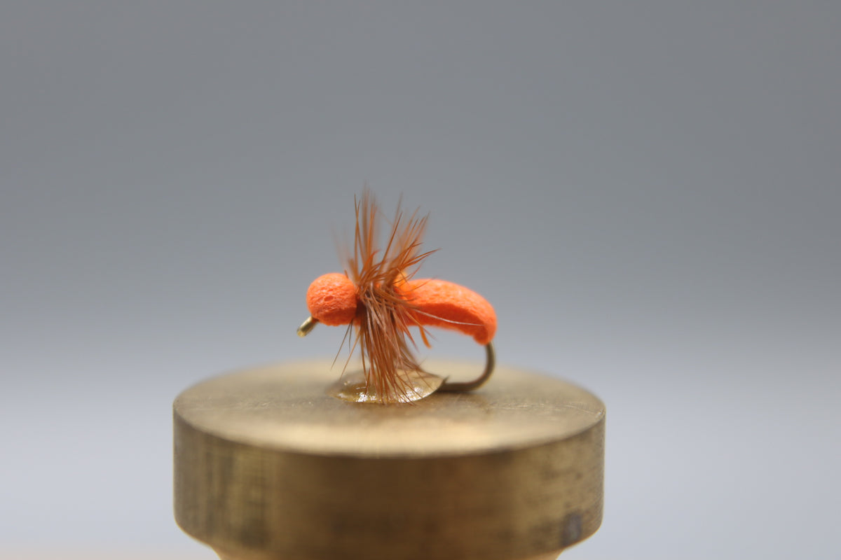 Foam Ant Dry – Risen Fly