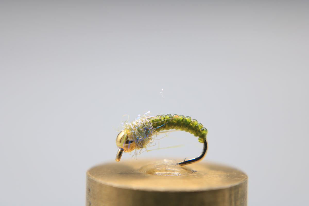 Tungsten Bead Head Vinyl Rib Caddis – Risen Fly