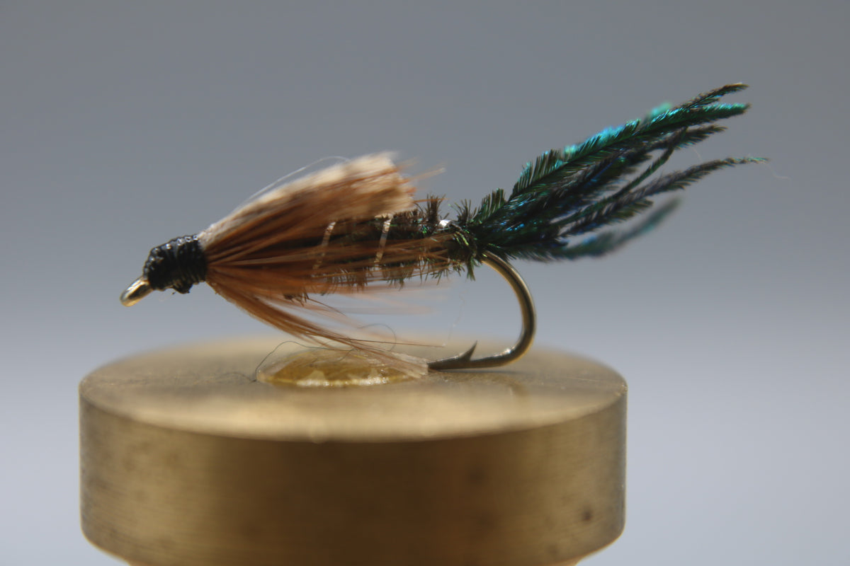 Zug Bug – Risen Fly