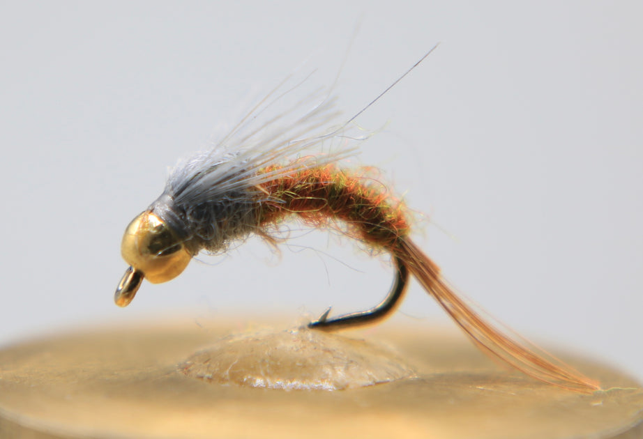 Brass Bead Nymphs – Risen Fly