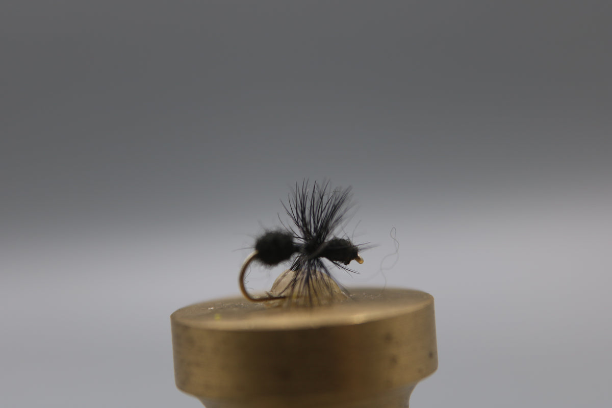 Fur Ant Dry – Risen Fly