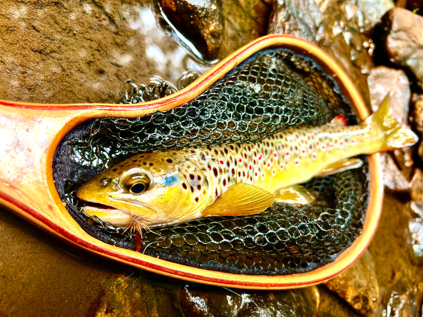 Accessories – Risen Fly