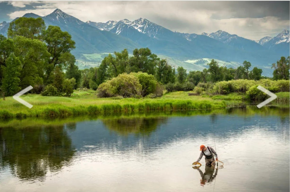 All Products – Risen Fly