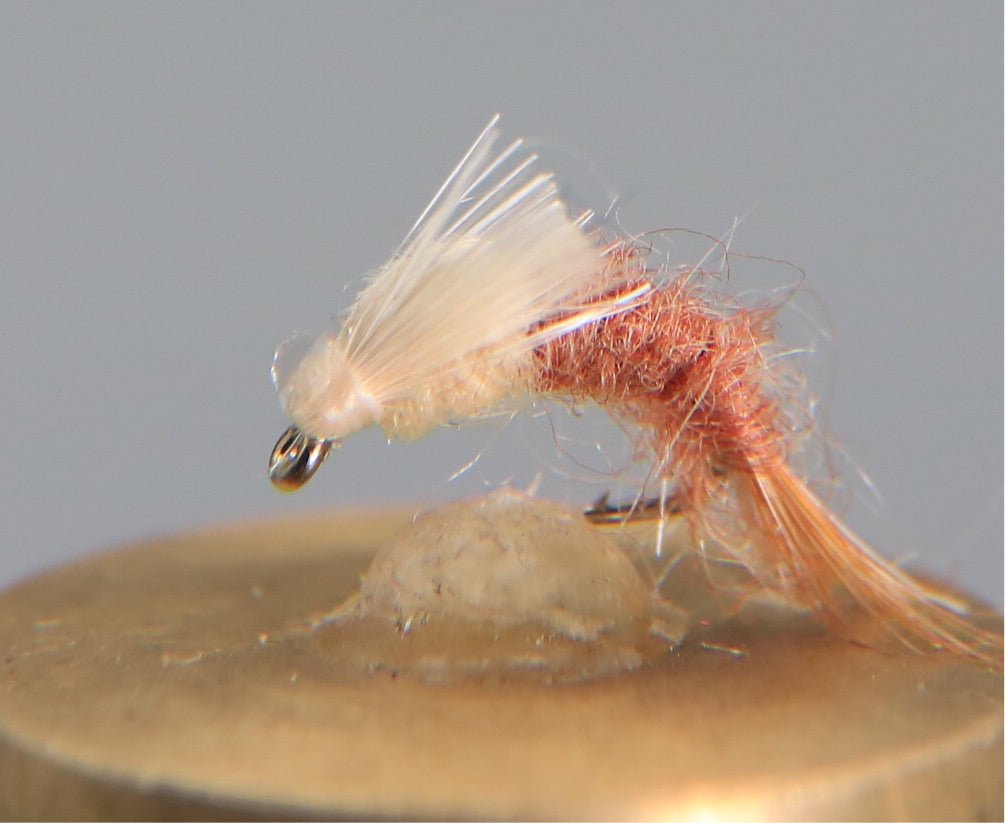 Pale Morning Dun Barr's Emerger – Risen Fly