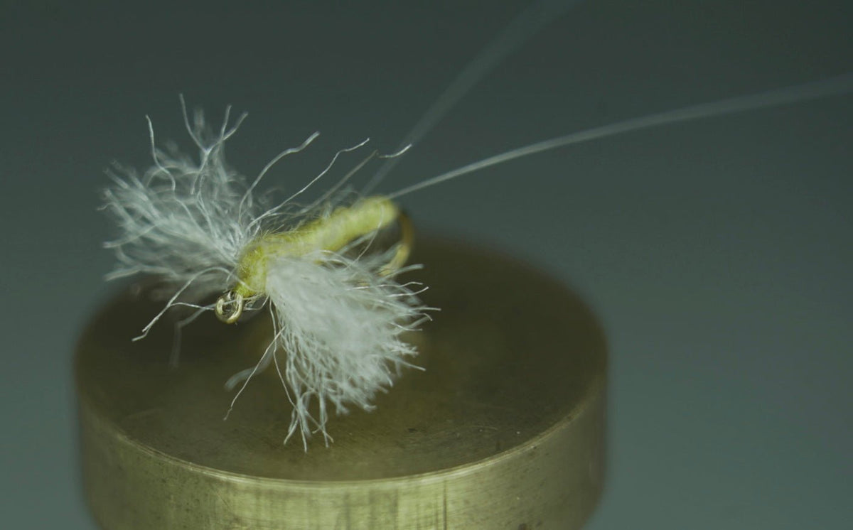 Sulphur Spinner Dry – Risen Fly