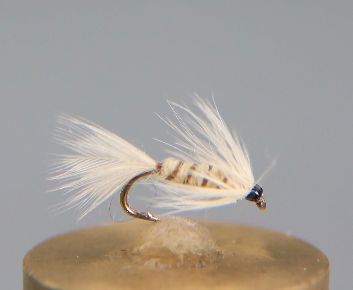 Cahill Light Soft Hackle Emerger – Risen Fly
