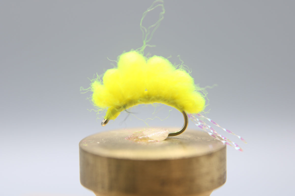 Sucker Spawn – Risen Fly