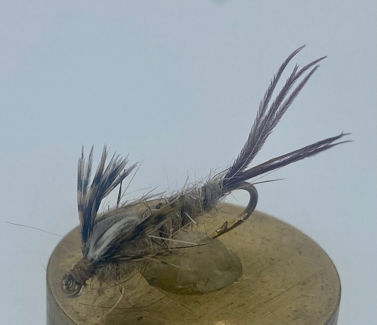 March Brown Nymph – Risen Fly