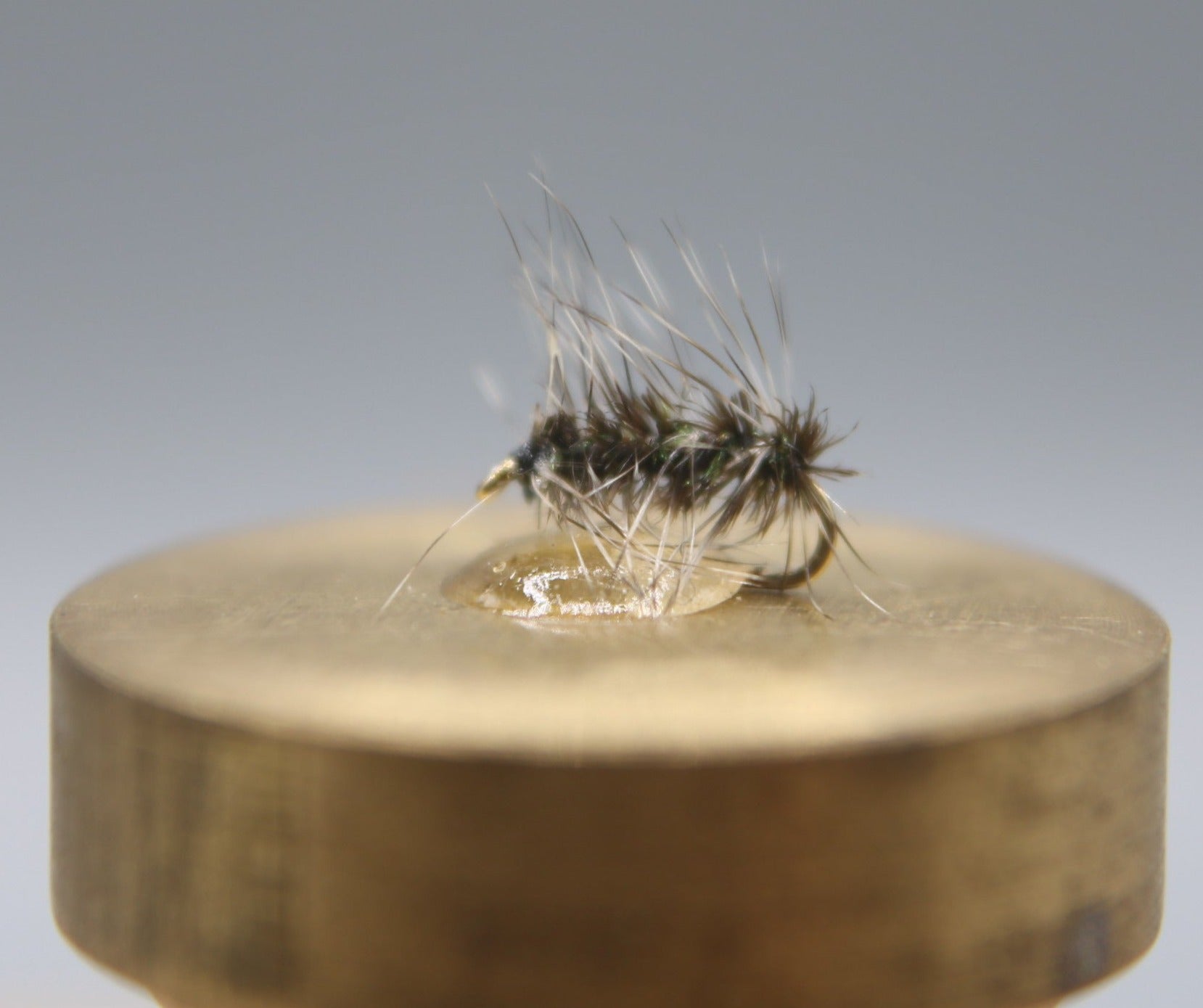 Griffiths Gnat Dry – Risen Fly