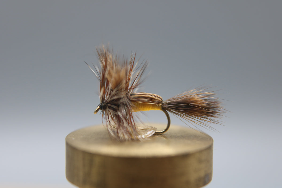 Humpy Dry – Risen Fly