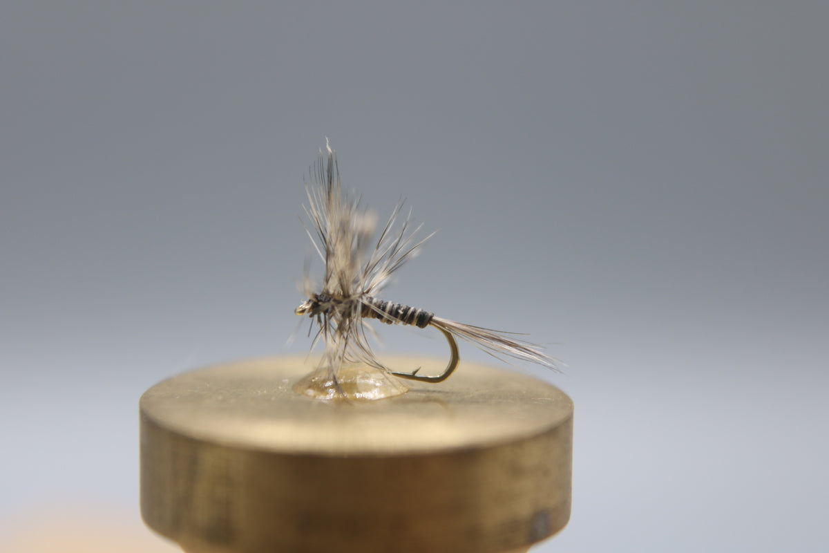 Mosquito Dry – Risen Fly
