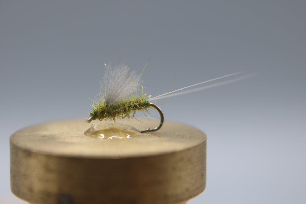 RS2 – Risen Fly