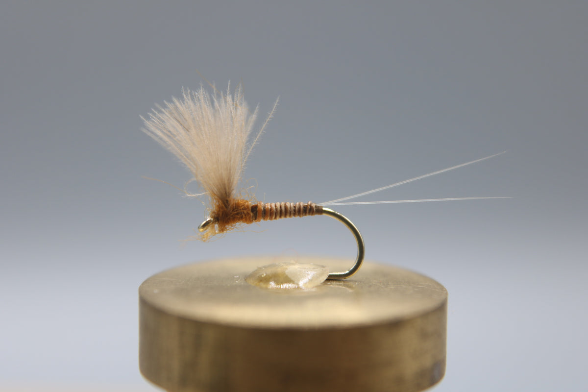 Mahogany CDC Comparadun Dry – Risen Fly