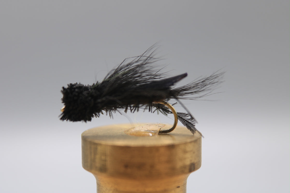 Letort Cricket - Black – Risen Fly