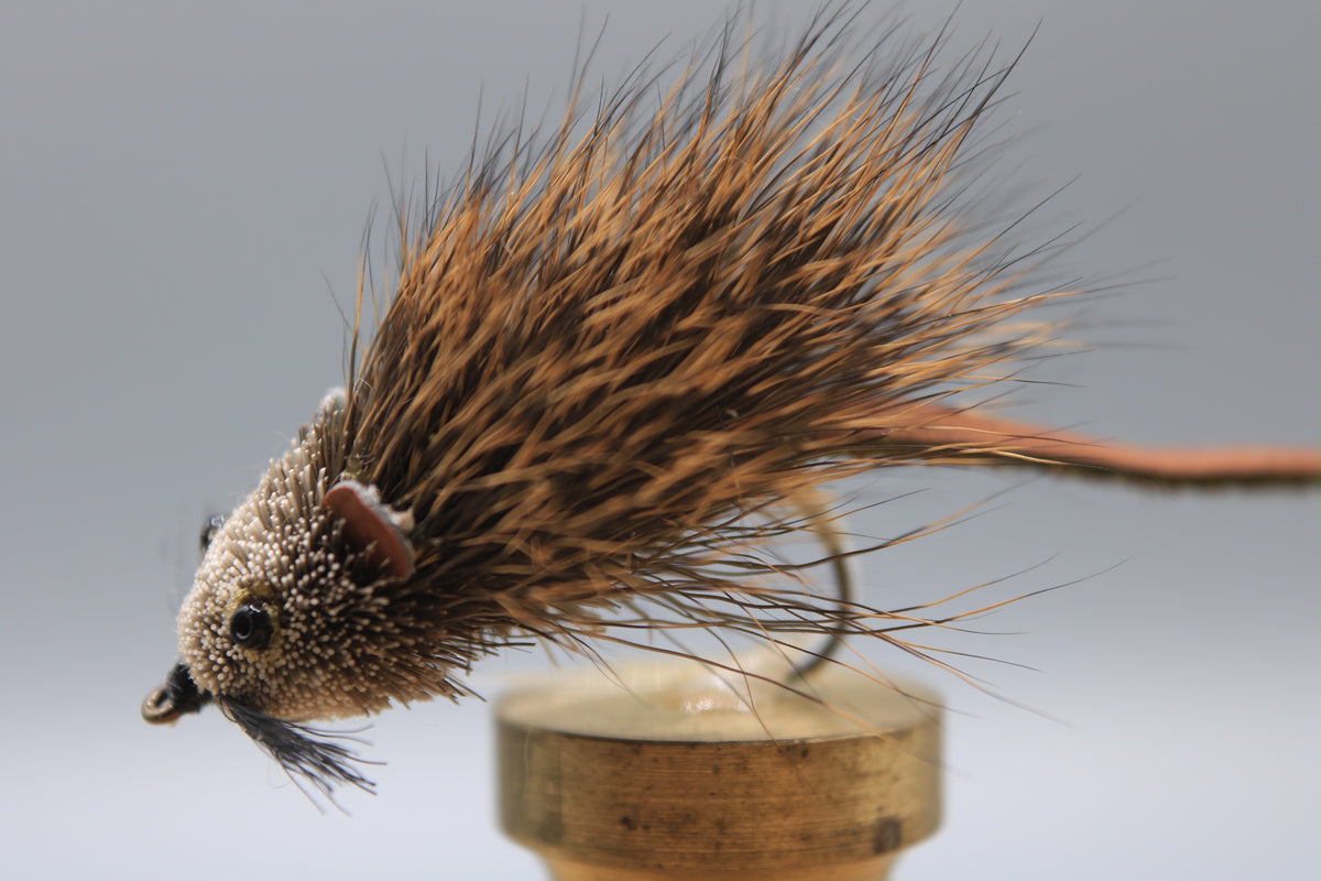 Hair Mouse – Risen Fly