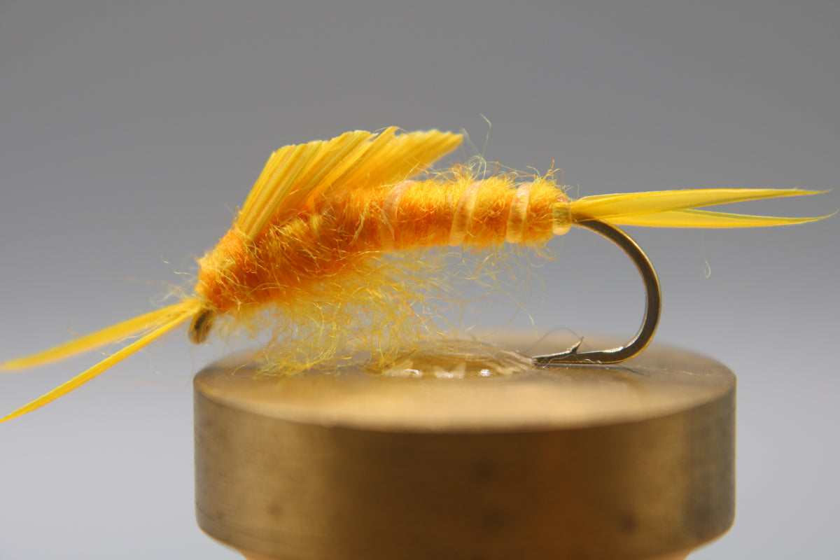 Stonefly Nymph – Risen Fly