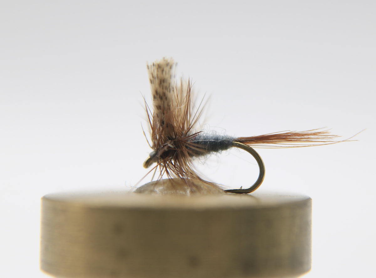 Cahill Dark Dry – Risen Fly