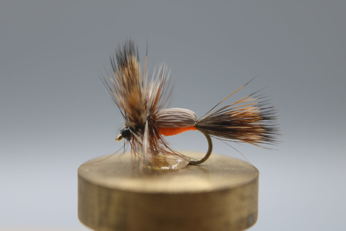 Humpy Dry – Risen Fly