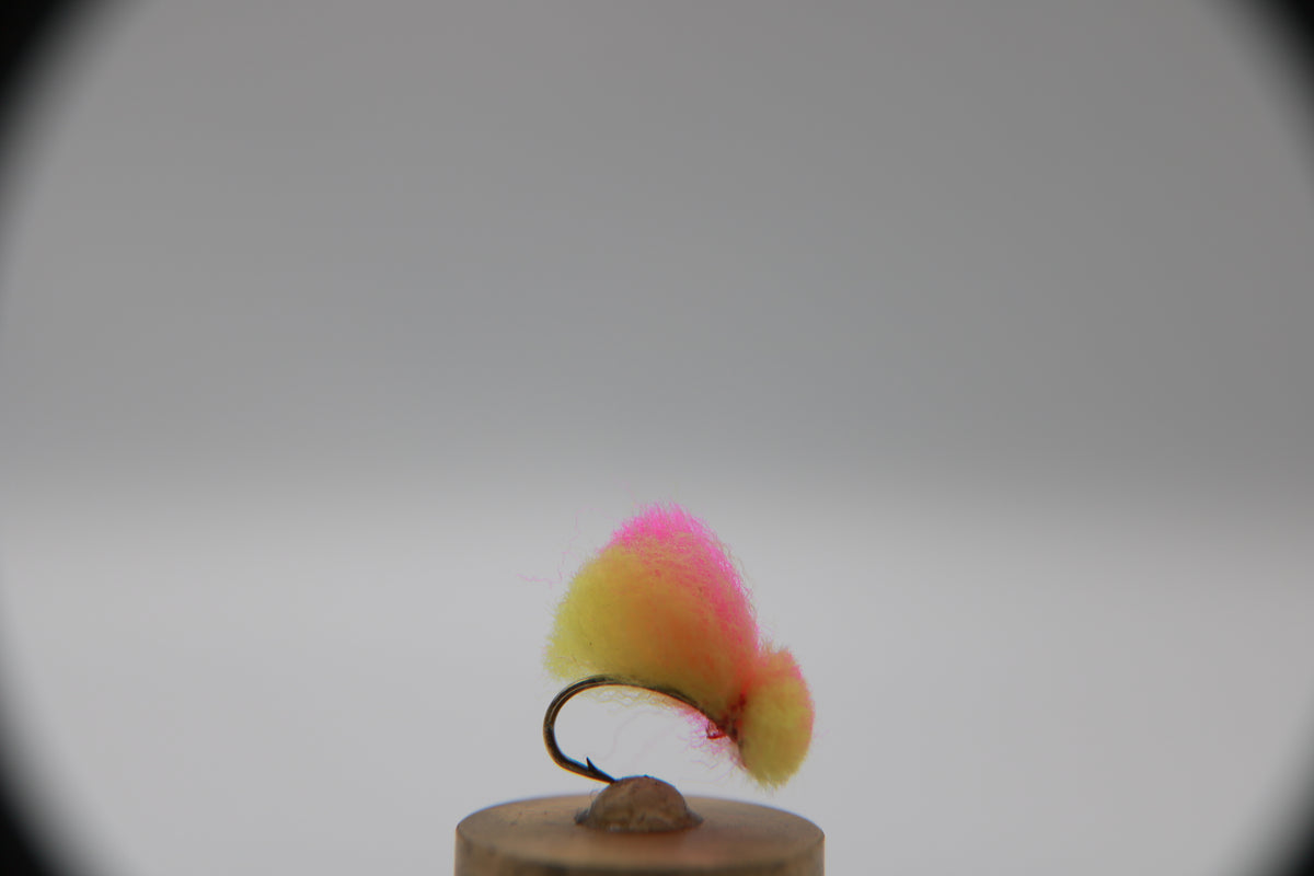 Y2K Egg – Risen Fly