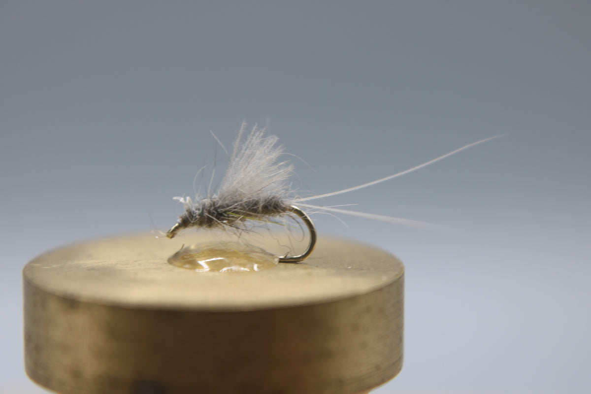 RS2 – Risen Fly