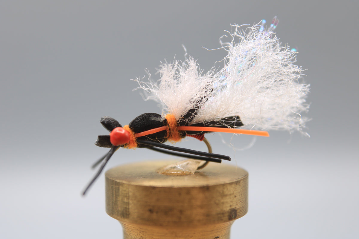 Pit Boss Cicada – Risen Fly