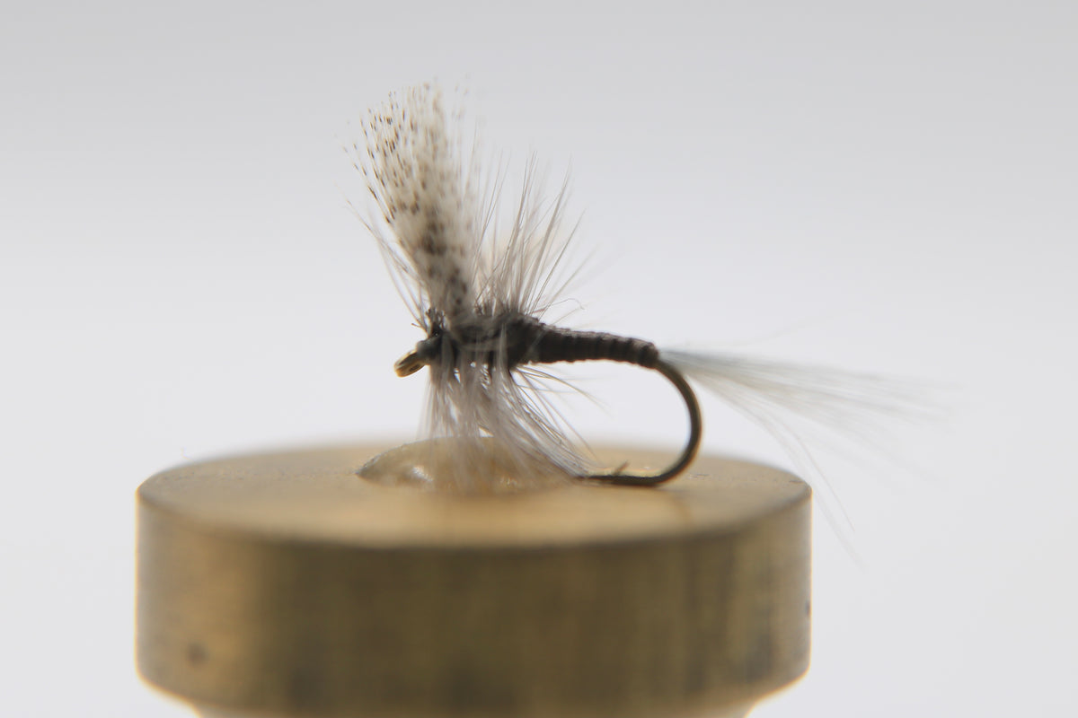 Quill Gordon Dry – Risen Fly
