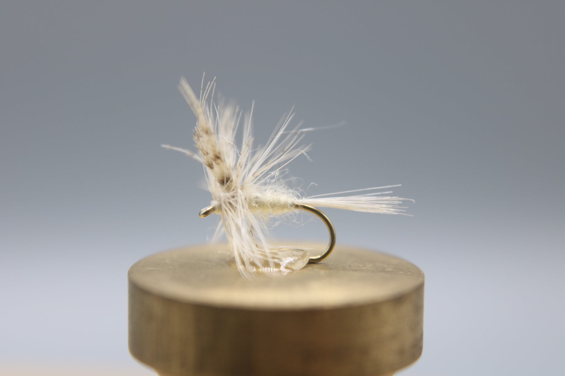 Cahill Light Dry – Risen Fly