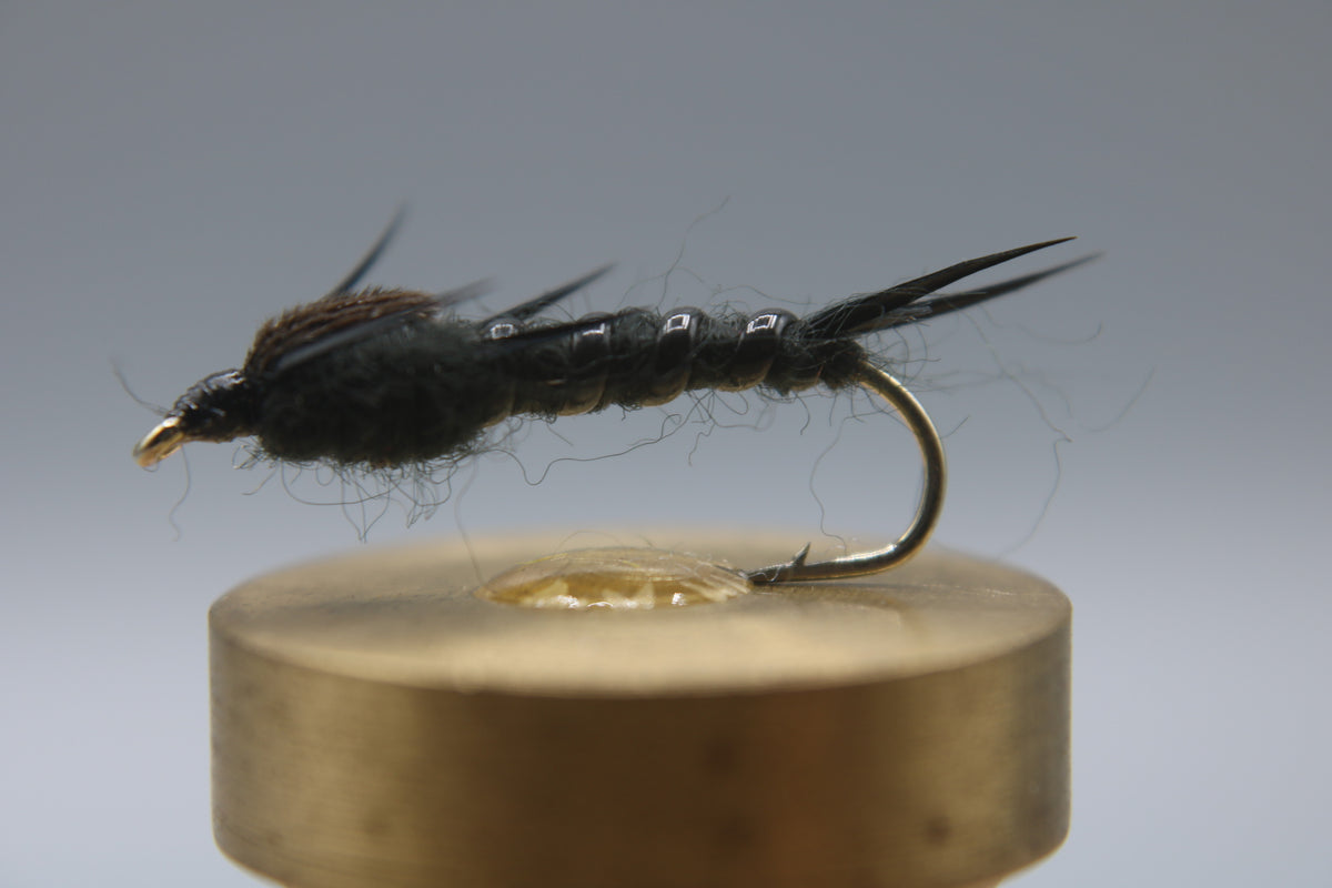 Stonefly Nymph – Risen Fly