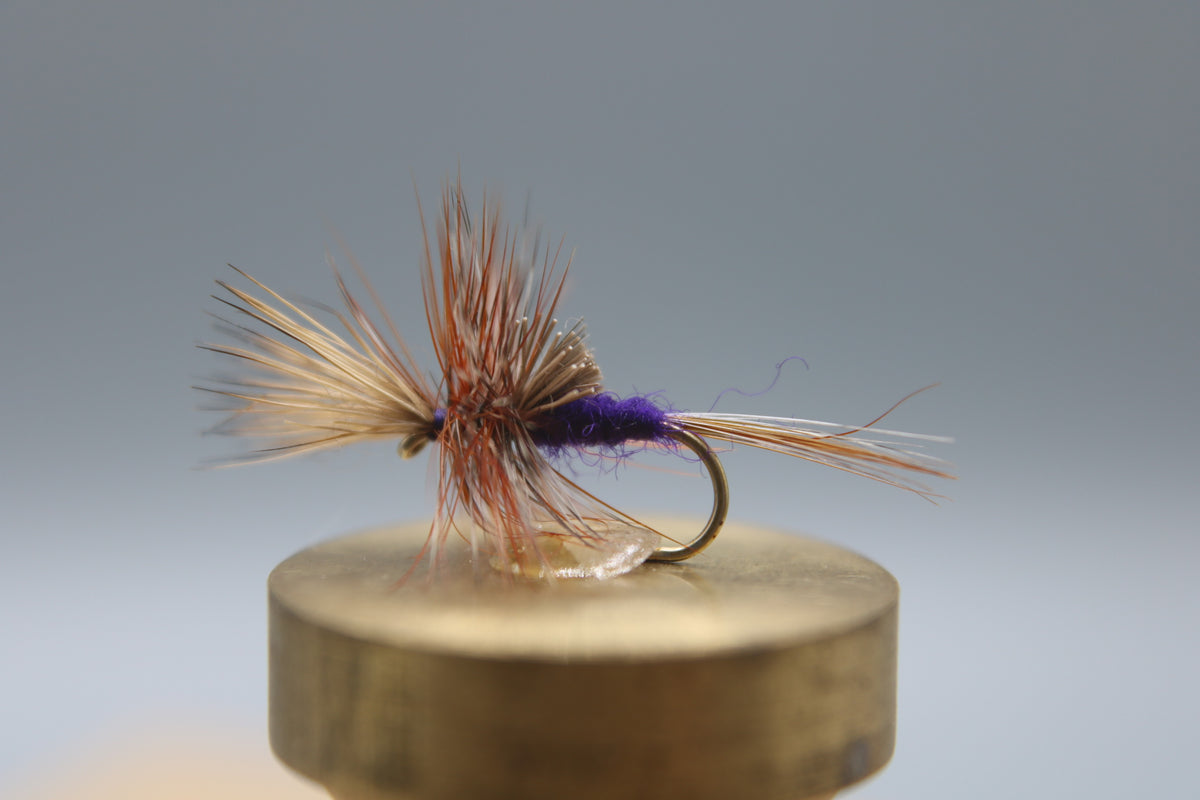 Purple Haze Cripple Dry – Risen Fly